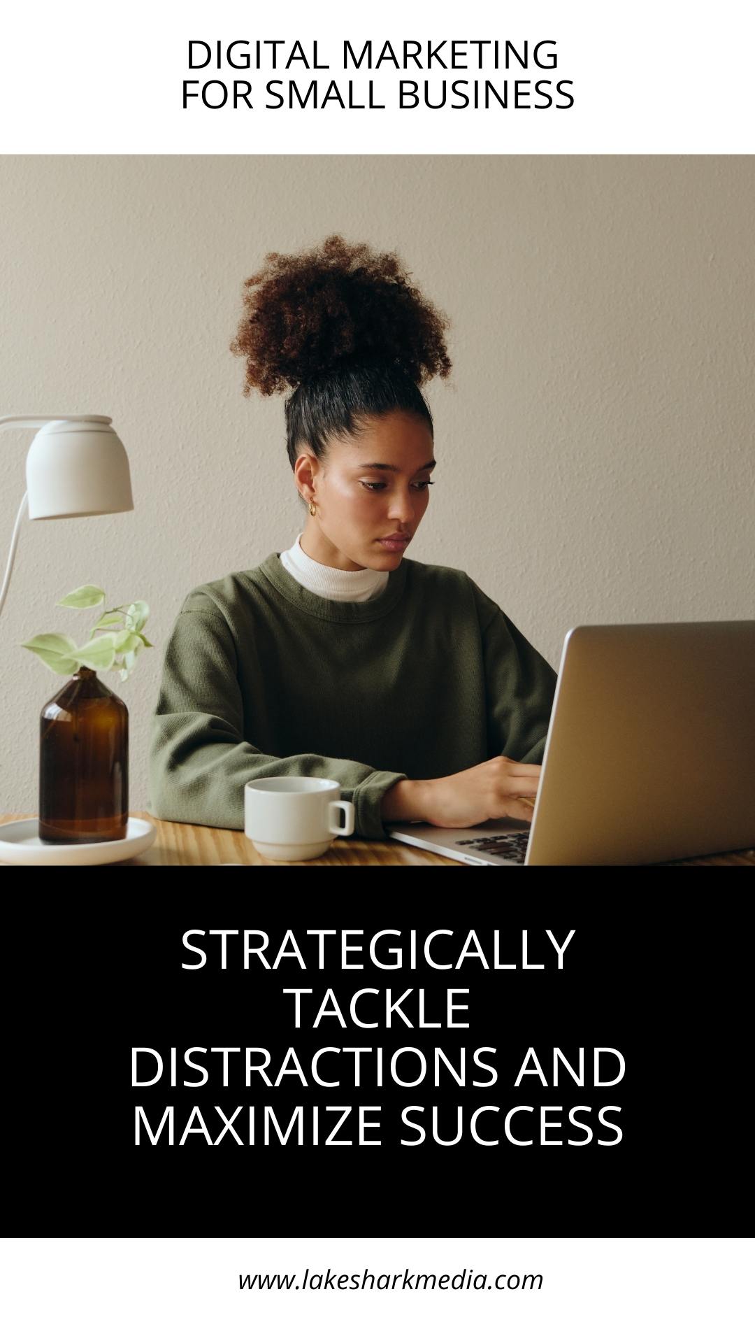 The Productive Solopreneur's Guide to Destroying Distractions and ...