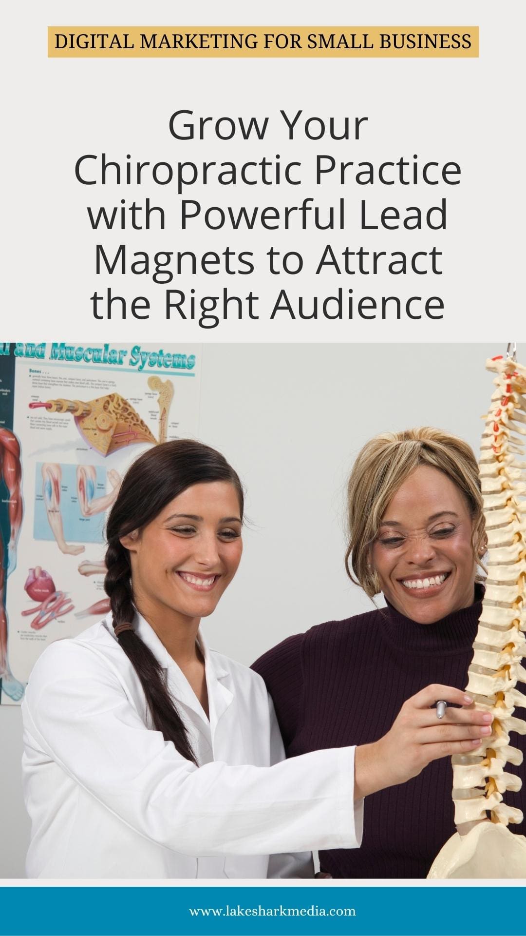 Chiropractic Lead Magnet Ideas to Grow Your Practice - Lake Shark Media - Digital Marketing Agency